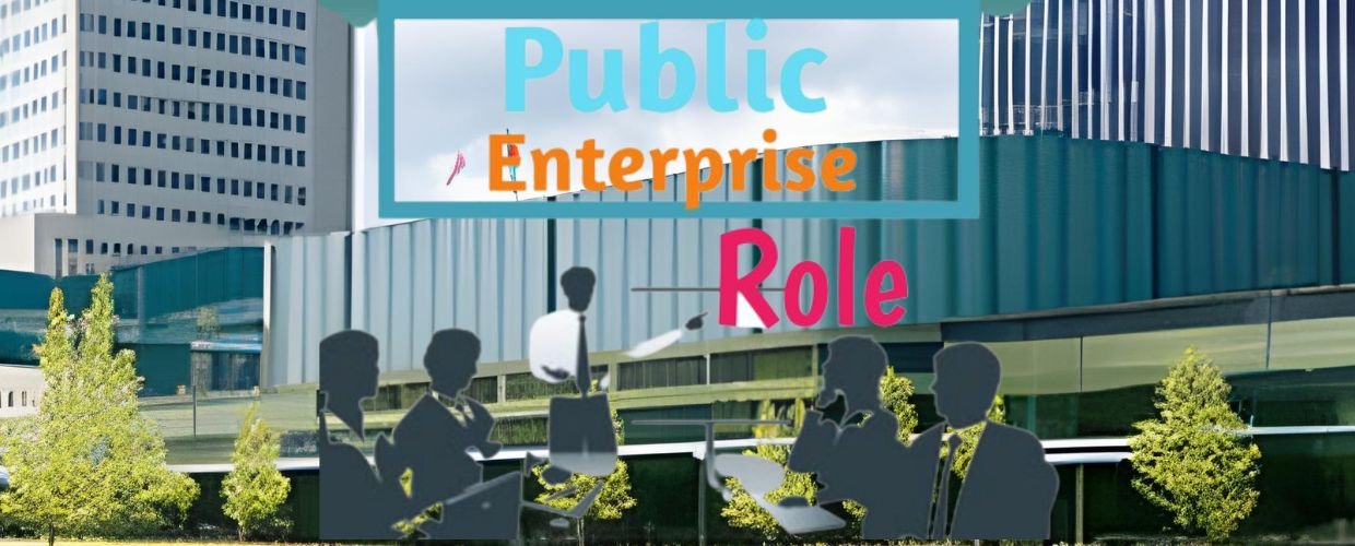 Public Enterprises: Role, Challenges, and Impact on the Economy